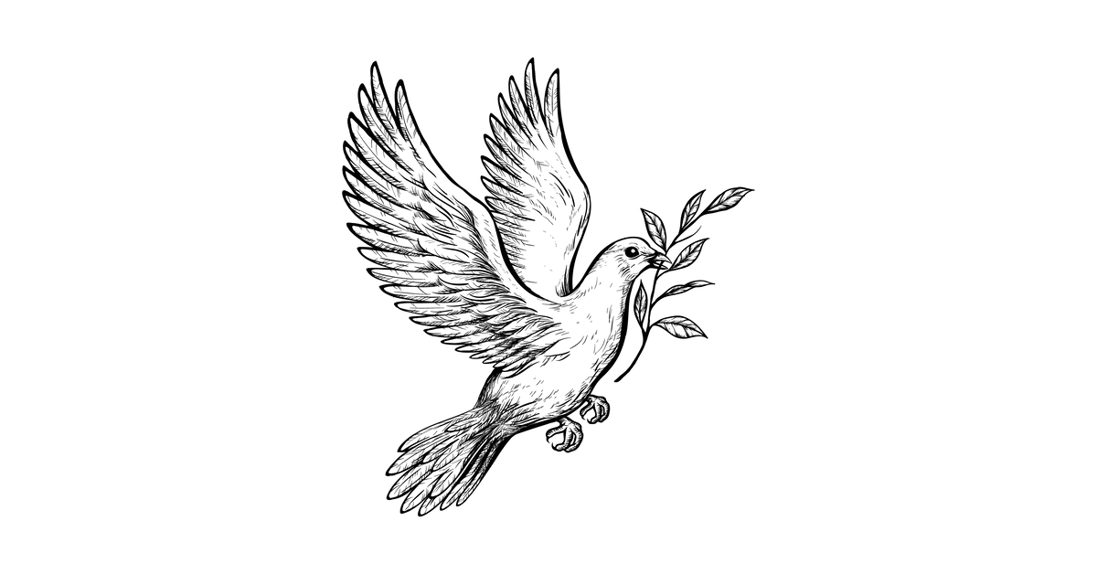 Products – Khold Skincare